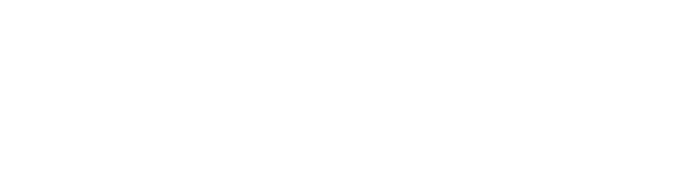 Echo Express: Fast and Affordable Freight Transportation